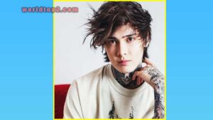 Tim Henson (thew6rst) | Age, Height, Gf, Net Worth (2023)