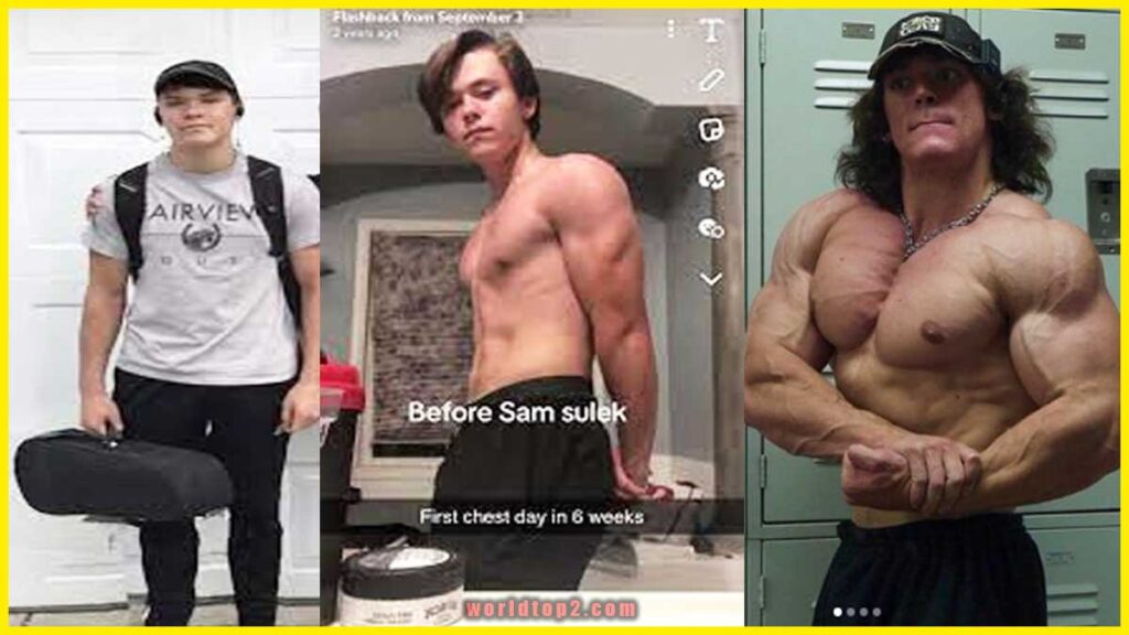 Sam Sulek | Bio, Age (2023), Height, Net Worth, Family, Facts